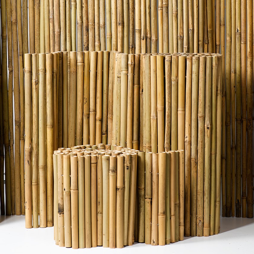 Bamboo Fences